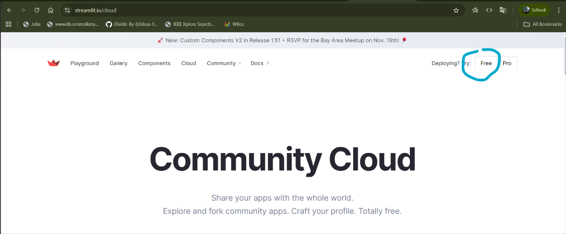 Streamlit- easy web library for deploying data and ML projects #Python - Qiita
