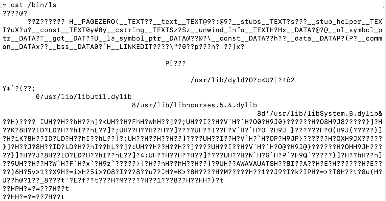 タイトル: 【脱・文字化け】バイナリの中身を透視する！？stringsコマンドで隠された情報を暴く #初心者 - Qiita
