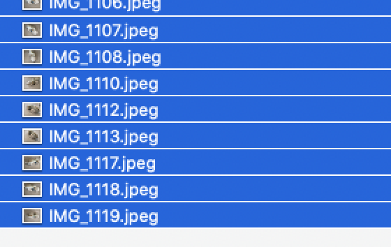 GUI操作だけで画像から3DマッピングするSfMソフトRegard3Dの使い方 #3Dマップ - Qiita