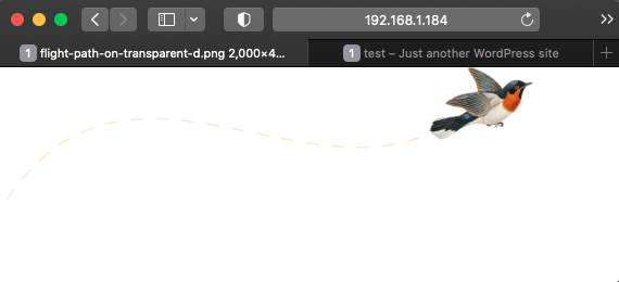[Q&A] Local（Local by Flywheel）に他のPCからもアクセスしたい - Qiita