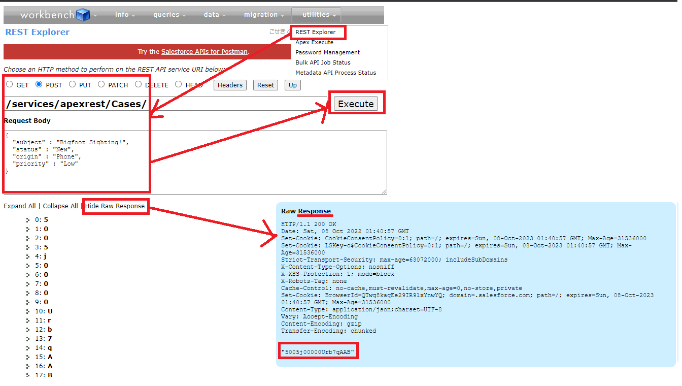 Salesforce（他システムとの連携メモ） #REST-API - Qiita