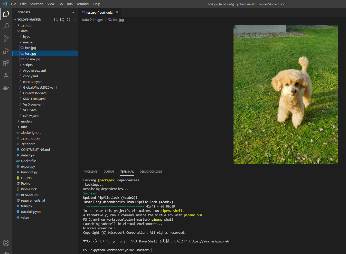 とりあえずYOLOを使って好きな画像で物体検知をしてみたいという方へ #Python - Qiita