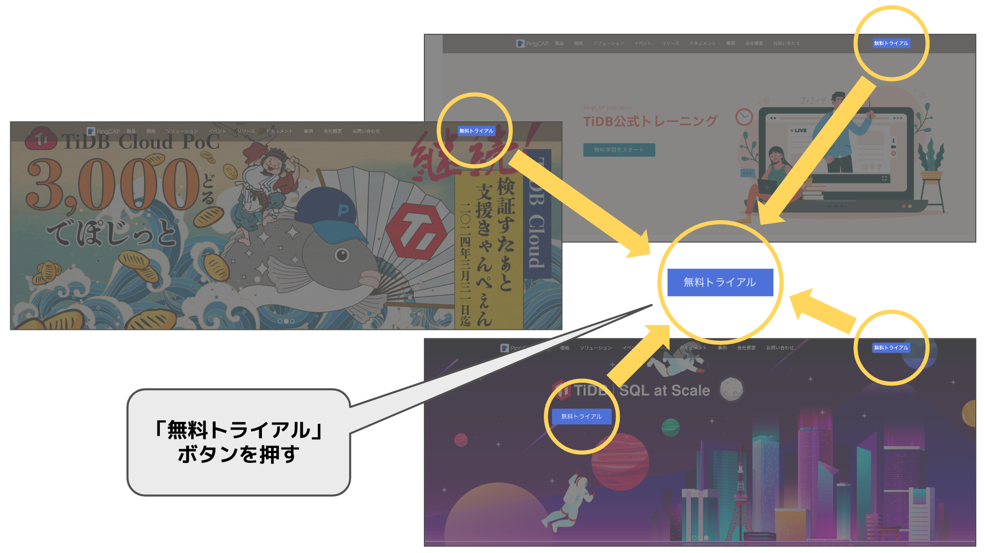 TiDB Serverless 使うの？使わないの？どっちなの？（使う編） #Database - Qiita