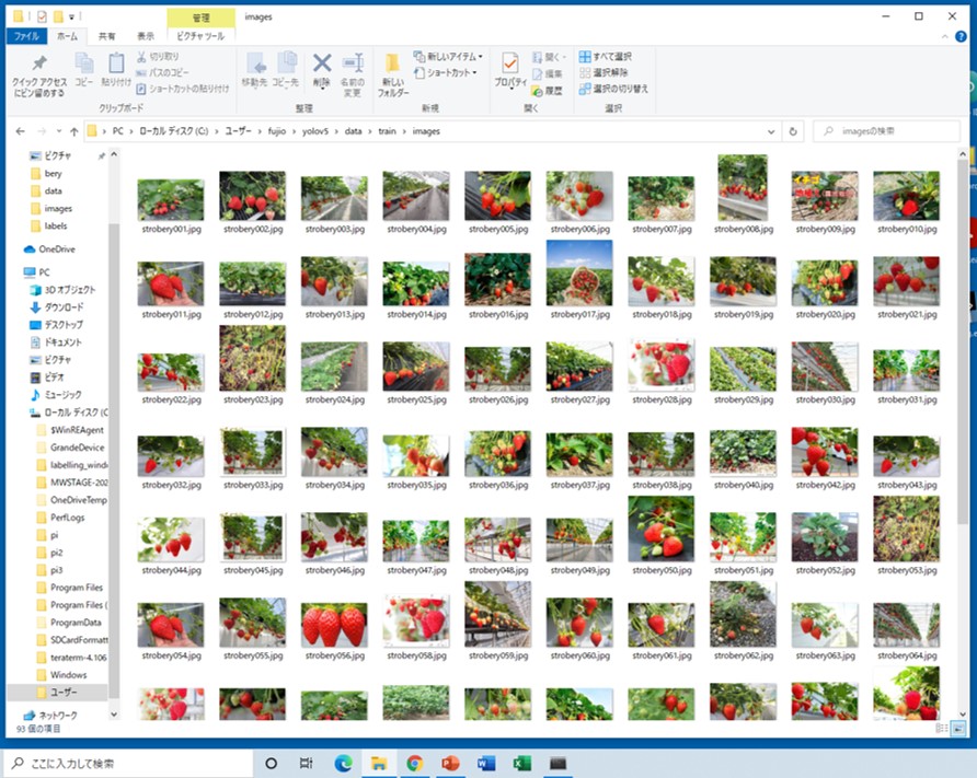 Pytorchで物体検出Yolov5を動作させる #Python - Qiita