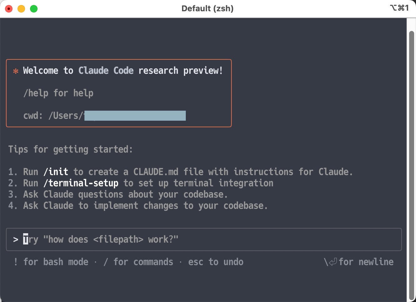 Claude Code をローカルインストールで試してみる（Node.js の Hello, World! のプログラムを書いてもらう） #npm - Qiita