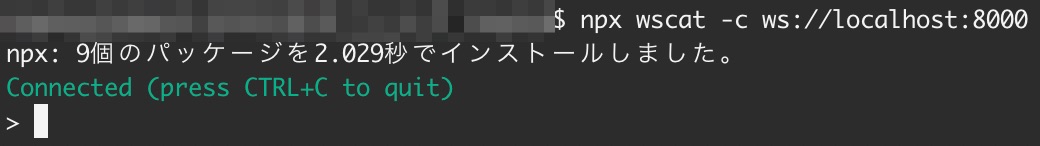 WebSocket のサーバー・クライアントをコマンドラインで簡単に実行する（npx と wscat） #Node.js - Qiita