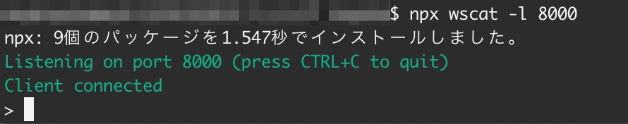 WebSocket のサーバー・クライアントをコマンドラインで簡単に実行する（npx と wscat） #Node.js - Qiita