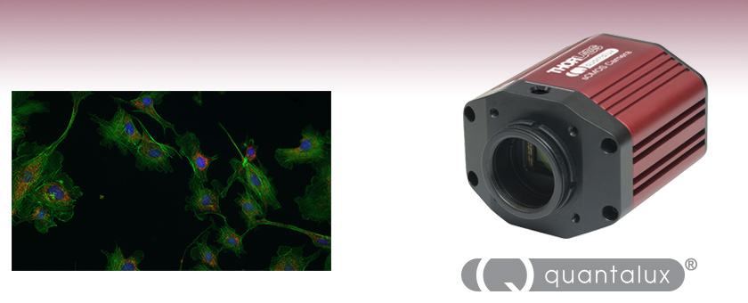 THORLABSのカメラCS2100M-USBをPythonで動かす【研究用】 #Python3 - Qiita