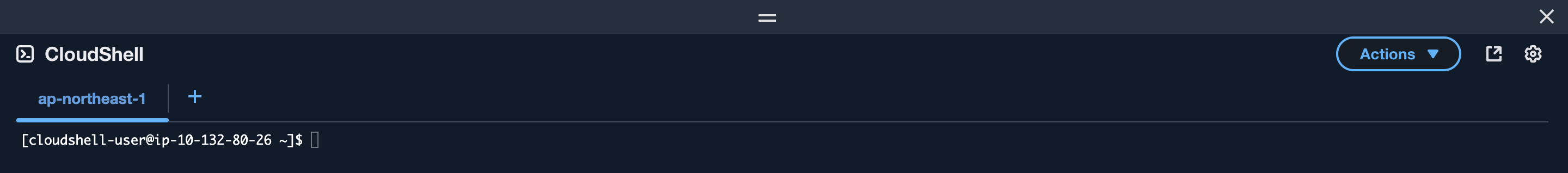 【AWS】手を動かして学ぶAWS AWS CloudShell #AWS - Qiita