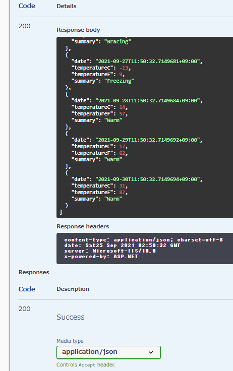 ASP NET Core WebAPI Custom Formatter CSV JSON 