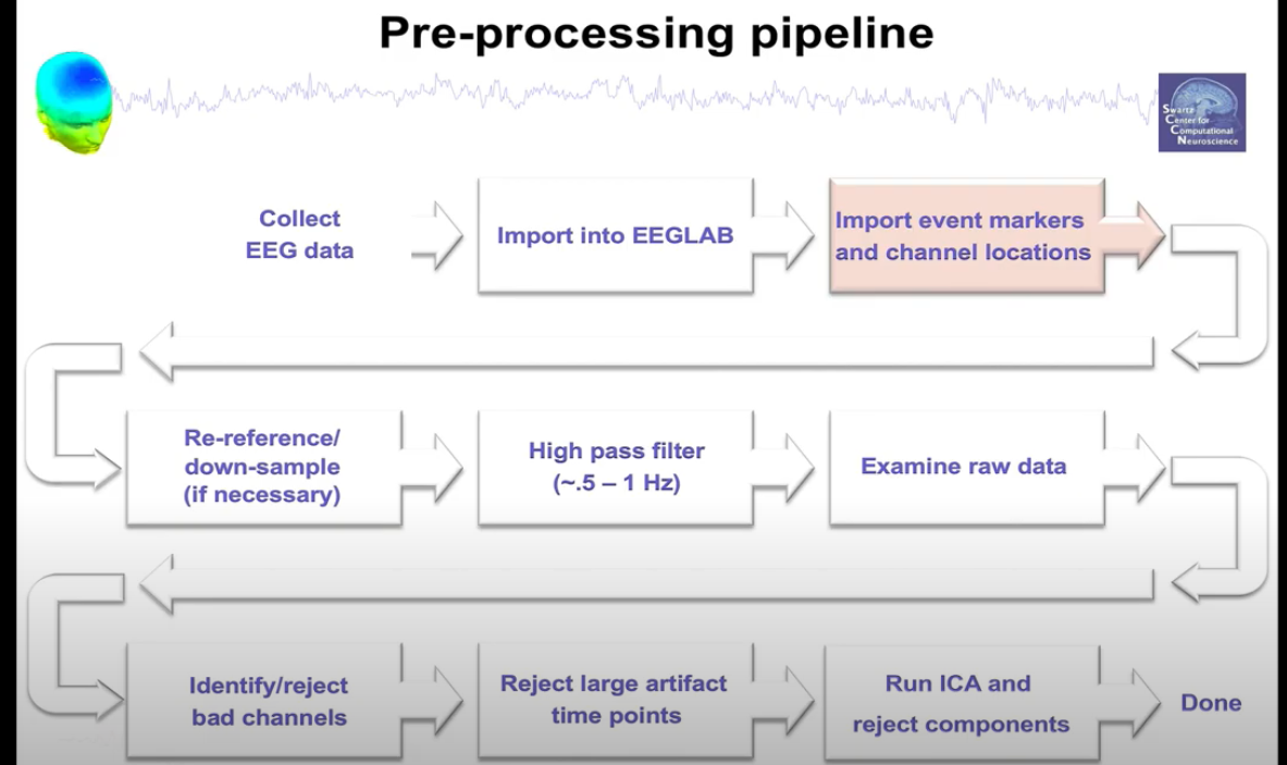 [EEGLAB 手順メモ part 1] Preprocessing data in EEGLAB #neuroscience - Qiita