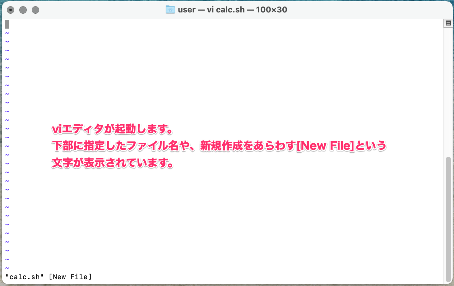シェルスクリプトを使用してrubyファイルを実行する Shellscript Qiita 7160