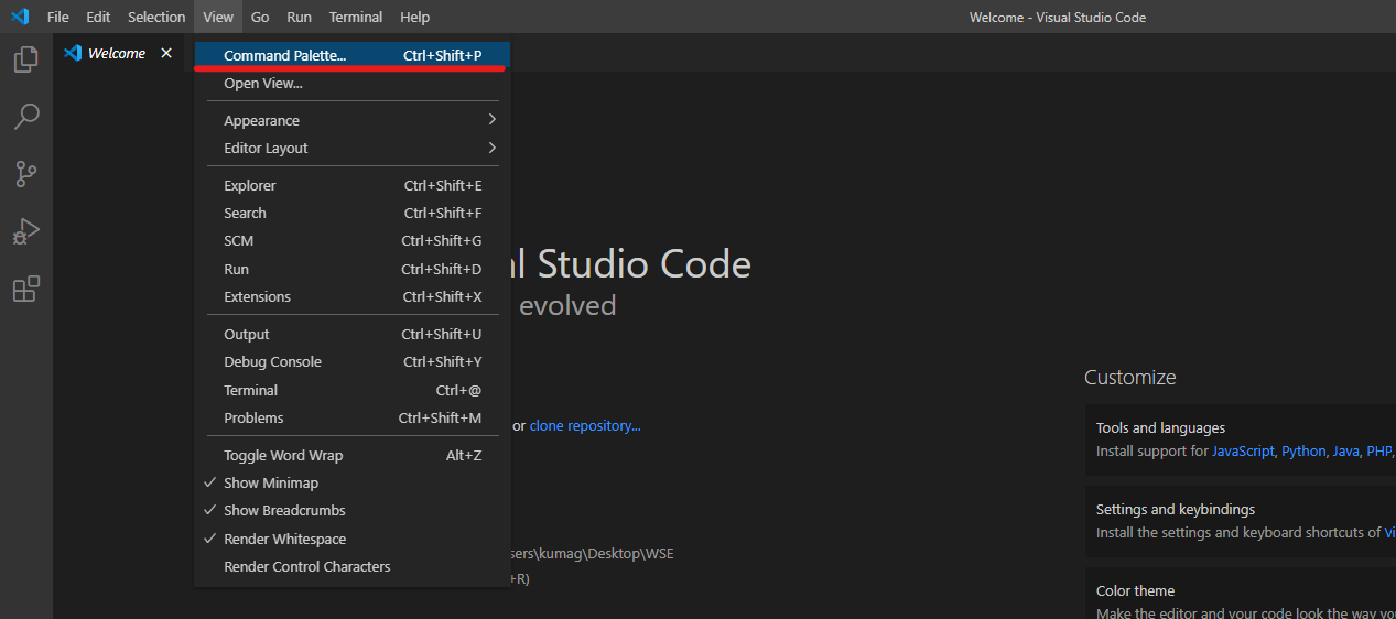 How To Use typescript Formatter prettier In Vscode 9to5Tutorial
