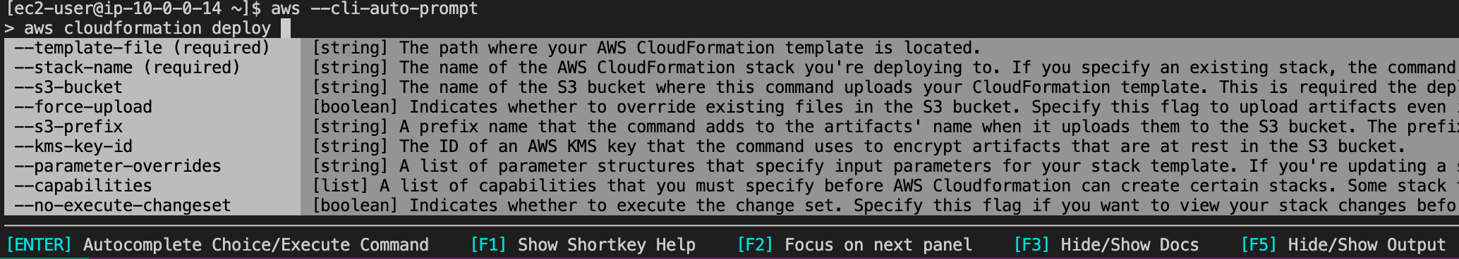 AWS CLIのバージョンアップ試してみた #EC2 - Qiita