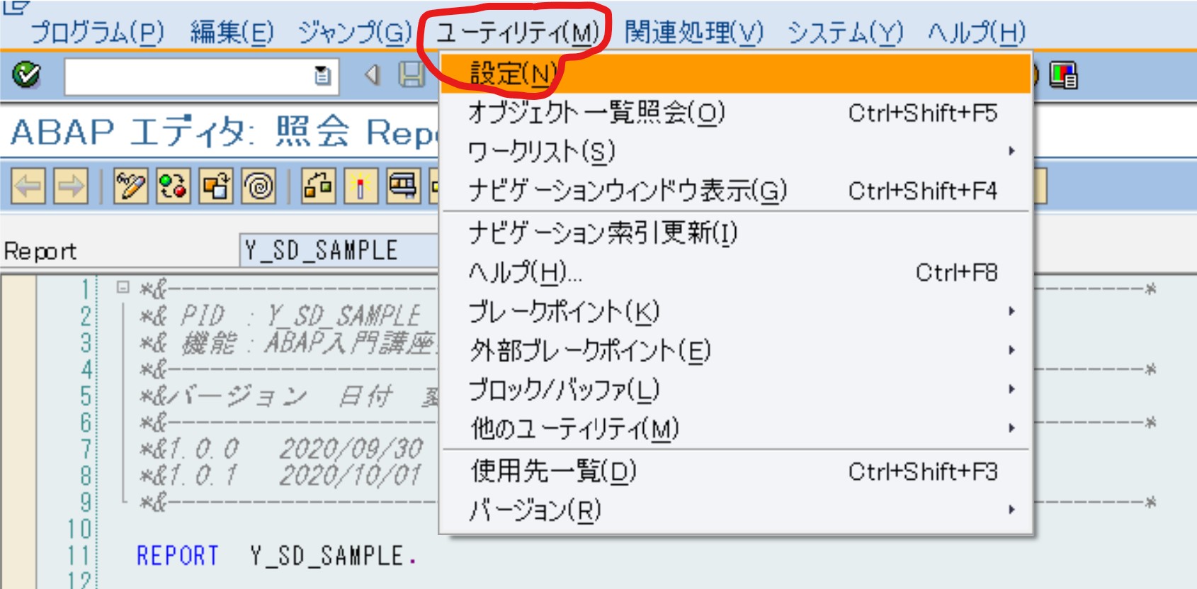 Sap Abapのエディターの設定 入門 Qiita 3063