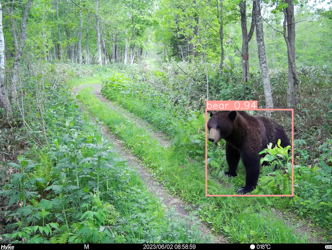 【AI】YOLOv8をpython openCVでちゃちゃっと物体検出してみる #Python - Qiita