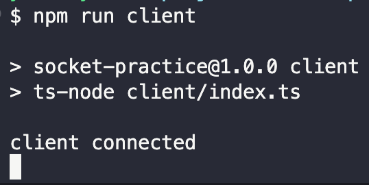 【Node.js】Socket.IO / Express / TypeScriptでリアルタイム通信を実現するソケットサーバー構築 #Socket.io - Qiita