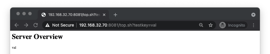 任意のコマンドをWEBブラウザから実行してみる #Linux - Qiita
